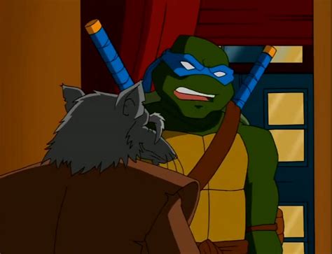 Tmnt 2003 Leo And Splinter 2 By Hedwieapotter On Deviantart