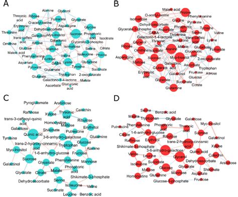 Correlation Based Metabolic Networks From Vitis Vinifera L Grenache