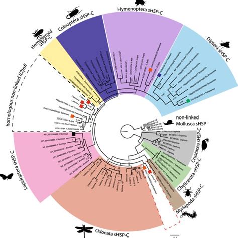PDFs Review Articles In MULTIGENE FAMILY