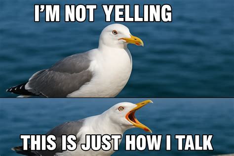 Create Viral Memes With Ai Meme Generator