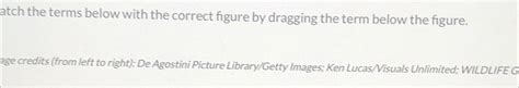 Solved Atch The Terms Below With The Correct Figure By