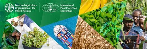 Ippc Logo And Brand Assets Svg Png And Vector Brandfetch
