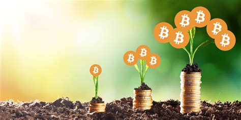 Increase Your Crypto Portfolio Like A Pro Master The Crypto Market