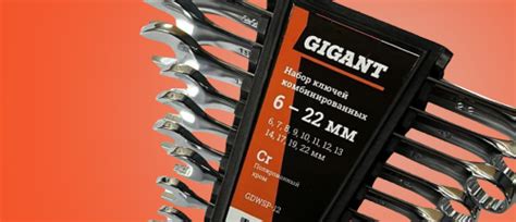 Набор комбинированных ключей Gigant 6 - 22 мм, 12 шт., полированный ...