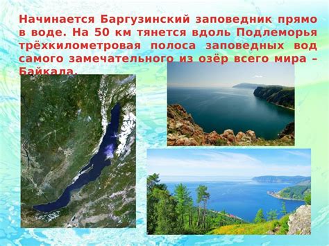 Заповедники России - презентация, доклад, проект скачать