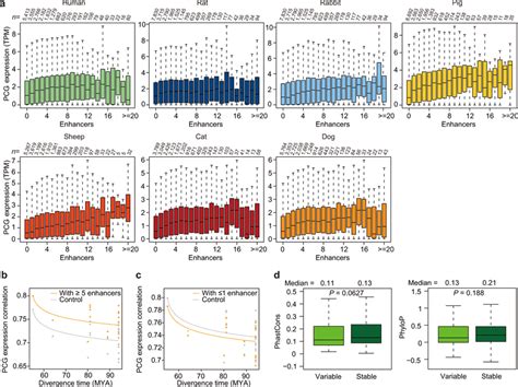 The Number Of Enhancers Drives The Stability Of Pcg Transcription