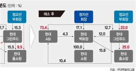 현대百그룹 오너 사재 털어 순환출자 고리 완전 해소