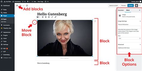 Themify Is Ready For Wordpress Gutenberg Themify