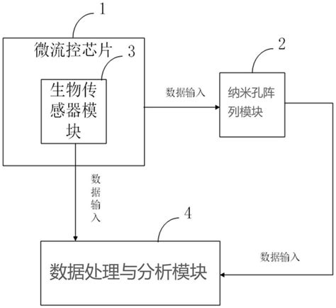 一种纳米囊泡的识别系统及识别方法
