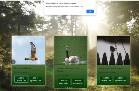 GitHub Projecttwocooltoquit Birdsofafeather This Application Allows A User To Discover Birds