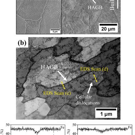 Microstructure Of As Built Am Alloy 800h By L Pbf A Etched Download Scientific Diagram