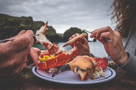 How Do Shellfish Eat At Tamara Wickline Blog