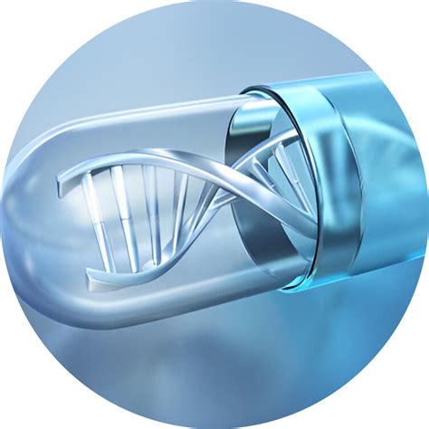 What Is The Nrf2 Pathway Organiclinic