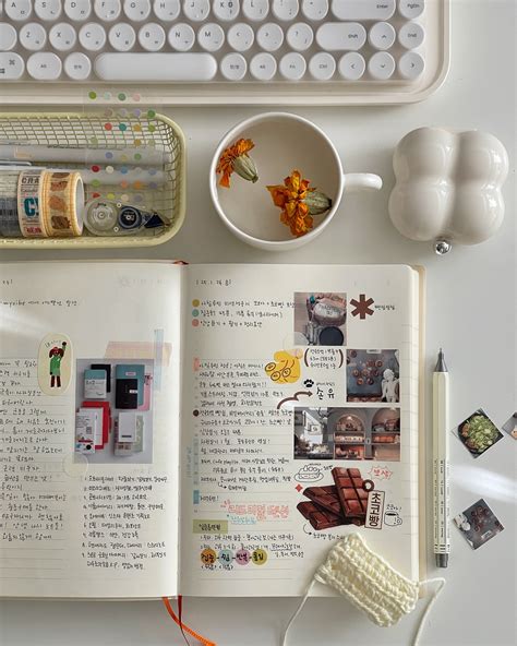 스온프ㅣ취향 라이프ㅣ기록탐구자 좋은 문장들을 수집하고 있어요 한권이 되면 무척 흐뭇할것 같아요 오늘은 국화차 한잔하며 책읽어봐요 꼭 시간을 사세요 그러려면