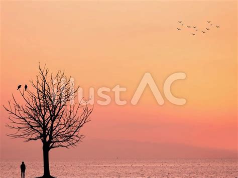 夕空風景 自然の中にいる自分イラスト No 22735446無料イラストフリー素材ならイラストAC