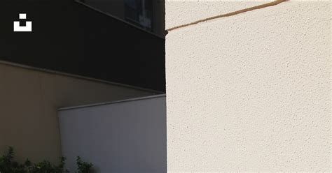 파란색과 빨간색 폴로 셔츠를 입은 소년이 흰색 긴팔 셔츠를 입은 소년 옆에 서 있다 사진 Unsplash의 무료 야외 이미지