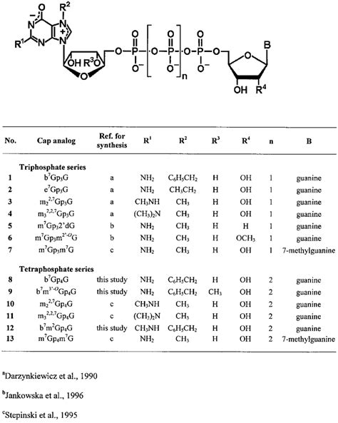 Structures Of Cap Analogs Used Download Scientific Diagram