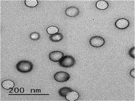 tem image of synthesized se nps download scientific diagram