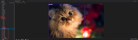 YOLO vscode的安装使用 vscode yolo CSDN博客