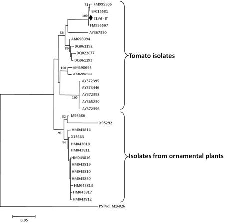 Neighbour Joining Phylogenetic Tree Obtained From Clustalw Alignament Download Scientific