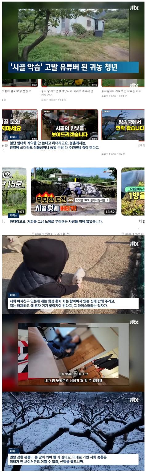 귀농했다가 시골 현실 고발 유튜버된 청년 포텐 터짐 최신순 에펨코리아