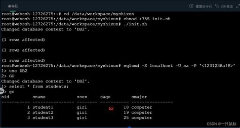 【实训02】基于角色的访问控制 Csdn博客