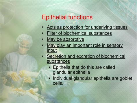 Classification Of Tissues Ppt Download