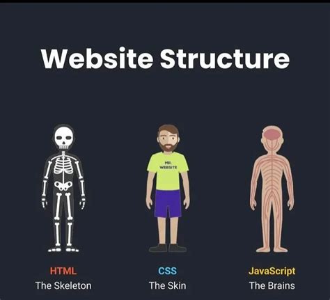 HTML Tutorial For Beginners To Advanced