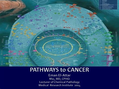 Cancer Pathways