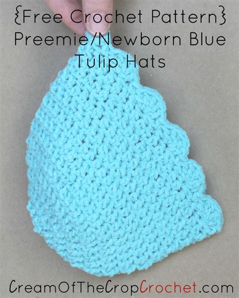Preemie Newborn Blue Tulip Hat Crochet Pattern Cream Of The Crop Crochet