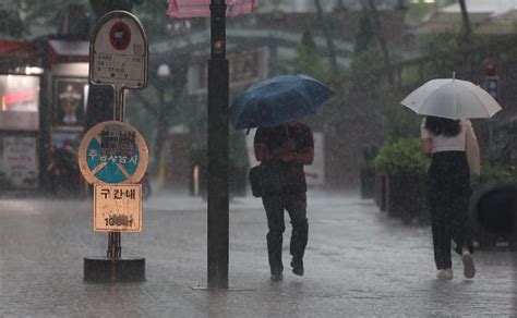 폭우에 속수무책…서울 풍수해보험 가입률 고작 0 8 이코노믹데일리