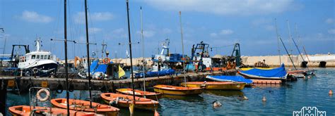 Breathtaking Bible Tour Of Israel Israel Bible Tours