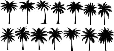 Florida Trees Vector Art Icons And Graphics For Free Download