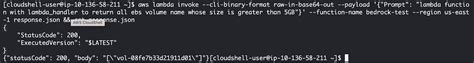 Utilizing Aws Bedrock For Querying Resources Within Your Aws Account