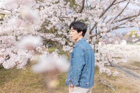 일본 후쿠오카 여행 🌸 2024 후쿠오카 벚꽃 축제 마이즈루 공원 And 오호리공원 네이버 블로그