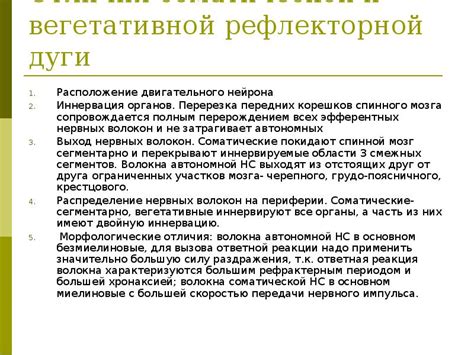 Органы нервной системы Спинной и головной мозг Рефлекторные дуги