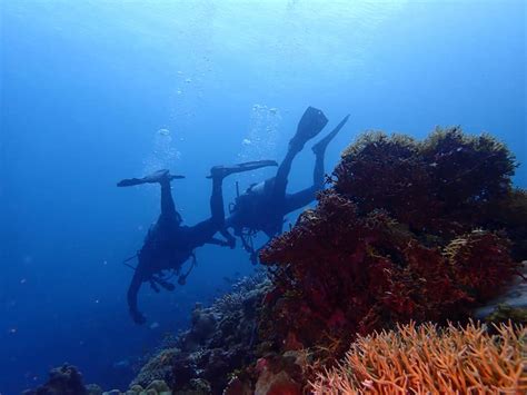 Reef Protection And Restoration Deep Responders