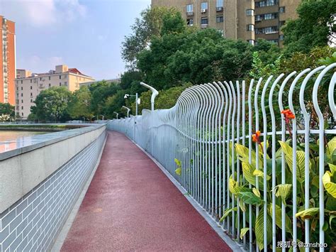 华政苏州河段步道 上海市 河风光 一览
