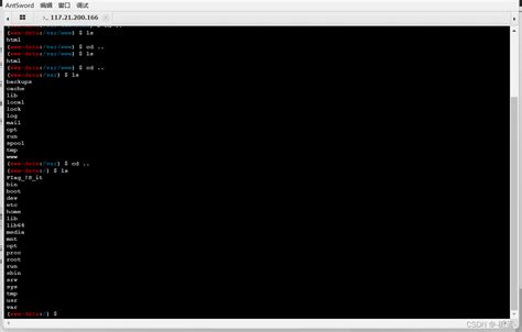 Npuctf Ezinclude Csdn