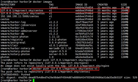 Docker容器：本地私有仓库、harbor私有仓库部署与管理docker本地仓库 Csdn博客