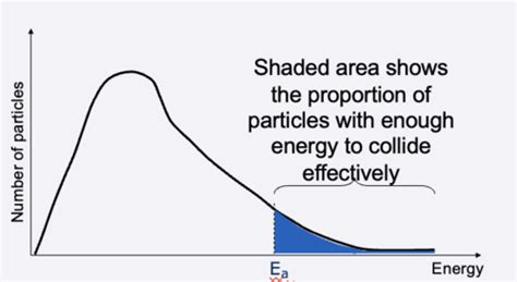 REACTION KINETICS Flashcards Quizlet