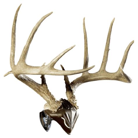 Skull Hooker Bone Bracket Skull Cap Combo