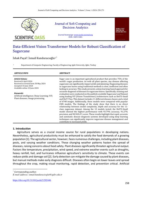 pdf data efficient vision transformer models for robust