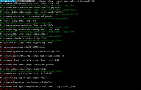 GitHub Matrix07ksa HackerInfo Hackerinfo Infromations Web Application Security