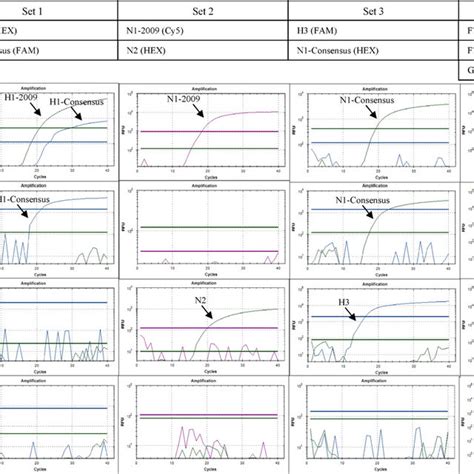 Representative Amplification Curve Showing Typical Patterns Obtained Representative Amplification Curve Showing Typical Patterns Obtained