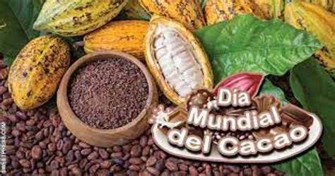 Día Mundial Del Cacao Cadena Nueve Diario Digital
