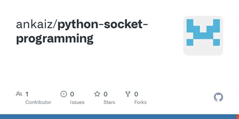 Github Ankaizpython Socket Programming