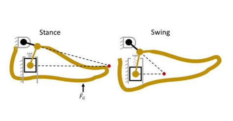 Passive Prosthetic Ankle Designed To Reduce Falls Lower Extremity