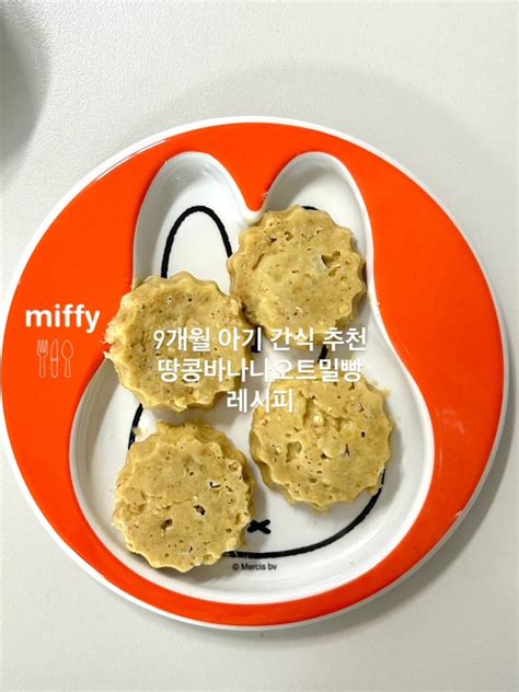 9개월 아기 간식 추천 땅콩 바나나 오트밀 빵 초간단 레시피 네이버 블로그
