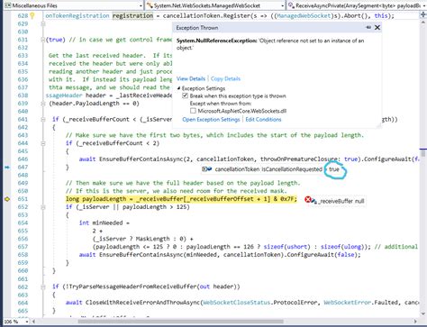 Microsoftaspnetcorewebsockets Systemnullreferenceexception · Issue